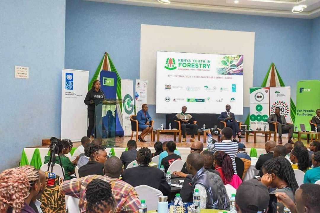 Youth in Forestry